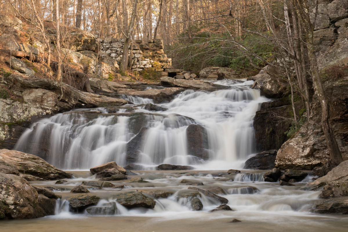 Landscape & Wildlife Photography | Cortlan Dickerson